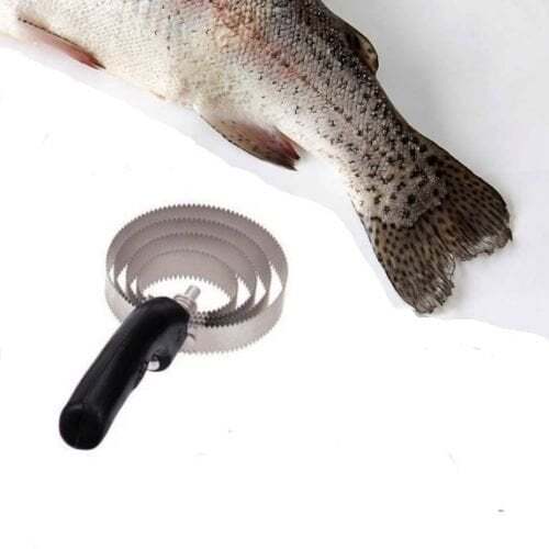 10 Best Fish Scaler In 2020 [Any Type Fish]