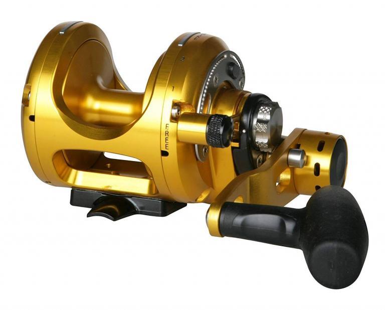 All Types Of Fishing Reels: An In-Depth Guide