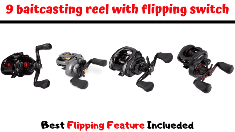 9 Best Flipping Reels In 2023 [With Flipping Switch]