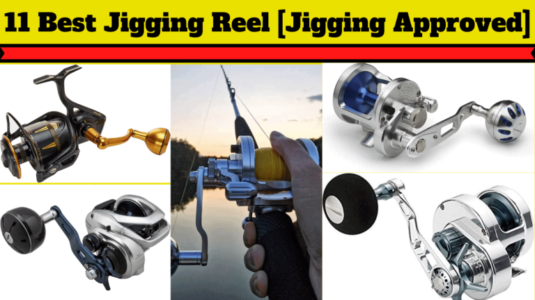 11 Best Jigging Reel Reviews In 2023 [Jigging Special]