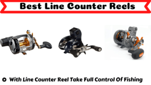11 Best Line Counter Reels In 2026 - Attractive Fishing