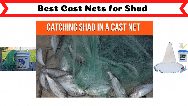 8 Best Cast Nets for Shad In 2023 - Attractive Fishing