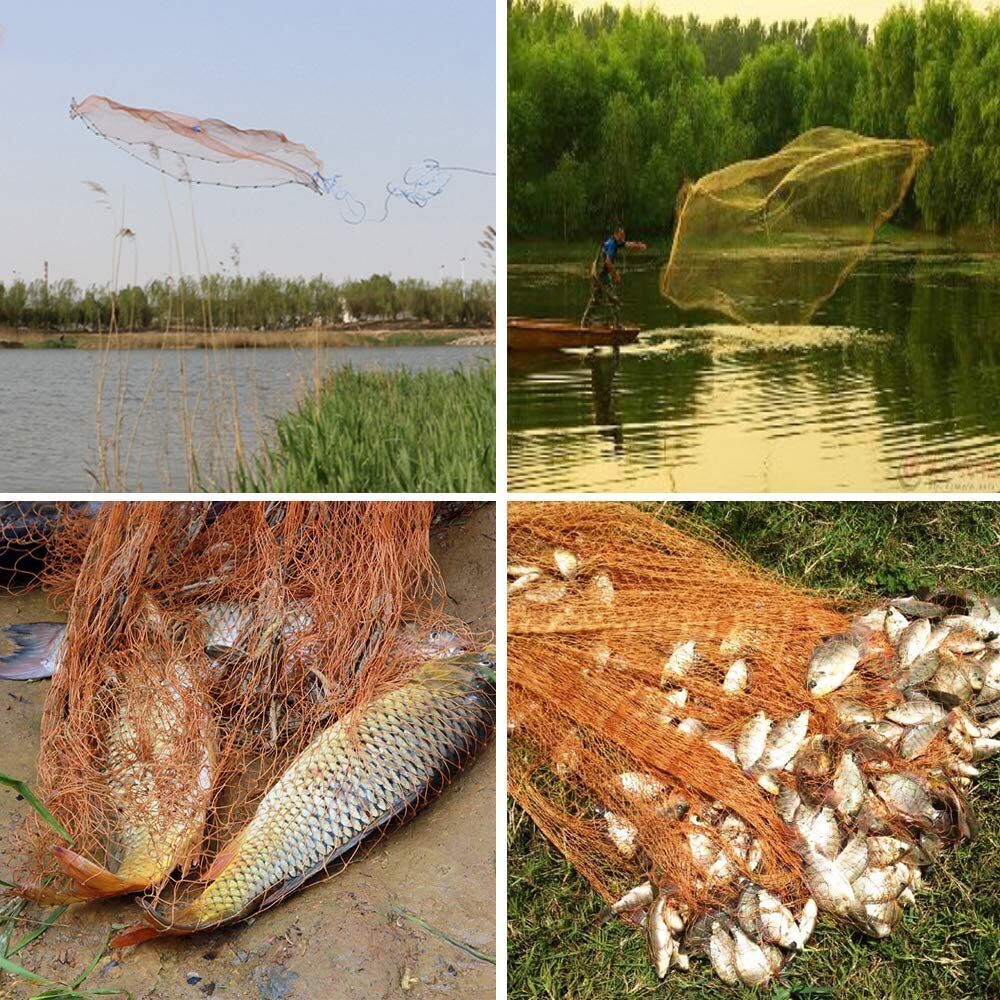 8 Best Cast Nets for Shad In 2023 - Attractive Fishing