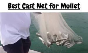 9 Best Cast Net for Mullet In 2023 - Attractive Fishing
