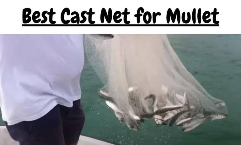 9 Best Cast Net for Mullet In 2023 - Attractive Fishing