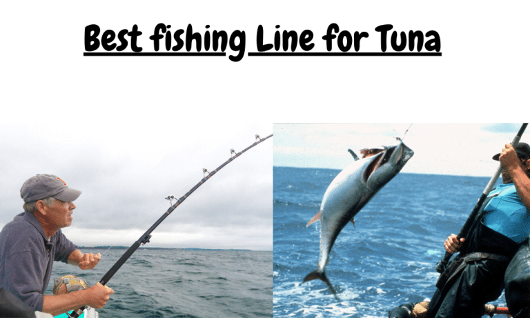 Best fishing line for tuna [with leader setup] - Attractive Fishing