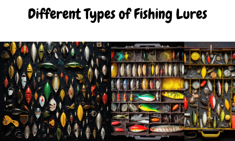 An Angler's Guide to the Different Types of Fishing Lures