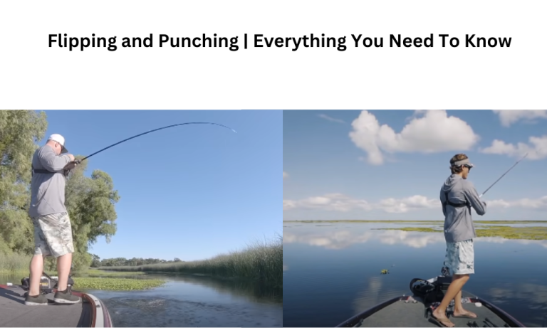 Flipping and Punching | Everything You Need To Know! - Attractive Fishing