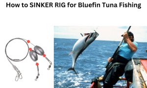 How to SINKER RIG for Bluefin Tuna Fishing: A Comprehensive Guide