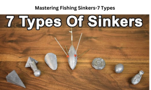 Mastering Fishing Sinkers: A Comprehensive Guide to 7 Types and Their Pros & Cons - Attractive ...