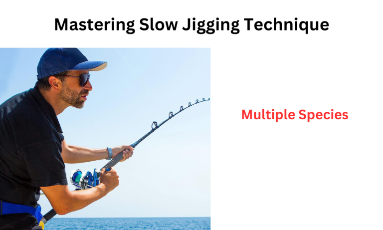 Mastering Slow Jigging Technique: A Comprehensive Guide for Catching ... Mastering Slow Jigging Technique: A Comprehensive Guide for Catching ...