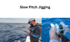 Slow Pitch Jigging: Mastering the Art of Precision Fishing - Attractive ...
