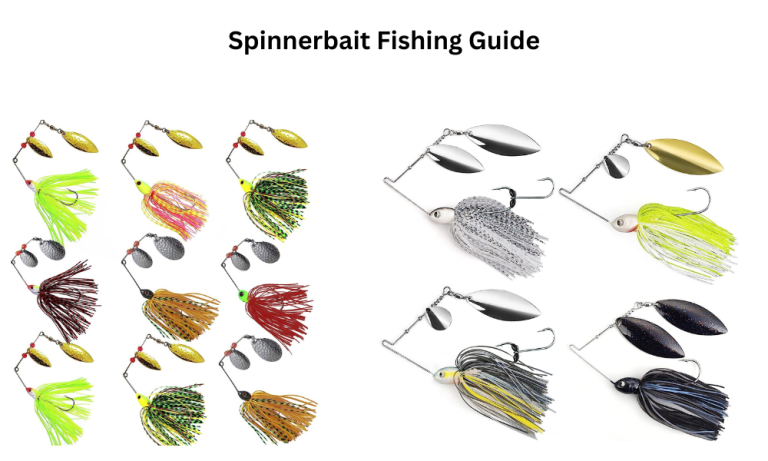 Attractive Fishing - We Review Fishing Equipments.
