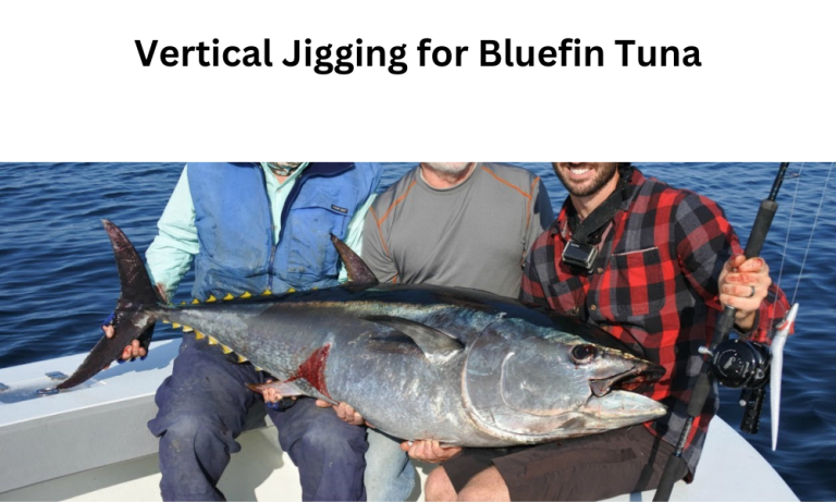 Vertical Jigging for Bluefin Tuna - Attractive Fishing
