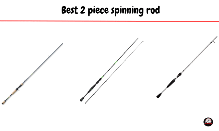 Ultimate Guide to the best 2 piece spinning rod - Attractive Fishing