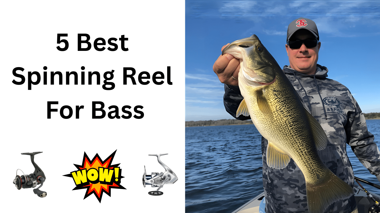 5 Best Spinning Reels for Bass Fish In 2026 - Attractive Fishing