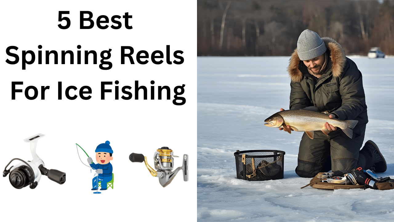 5 Best spinning reels for ice fishing In 2026 - Attractive Fishing