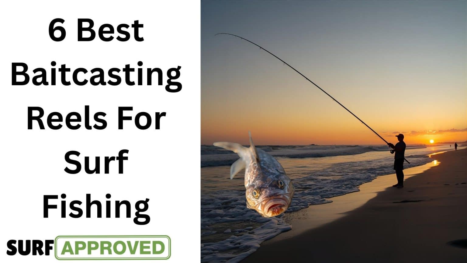 6 Best Baitcasting Reels For Surf Fishing In 2026 [Baitcasting ...