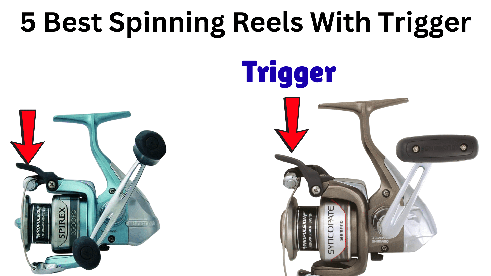 Attractive Fishing - We Review Fishing Equipments.